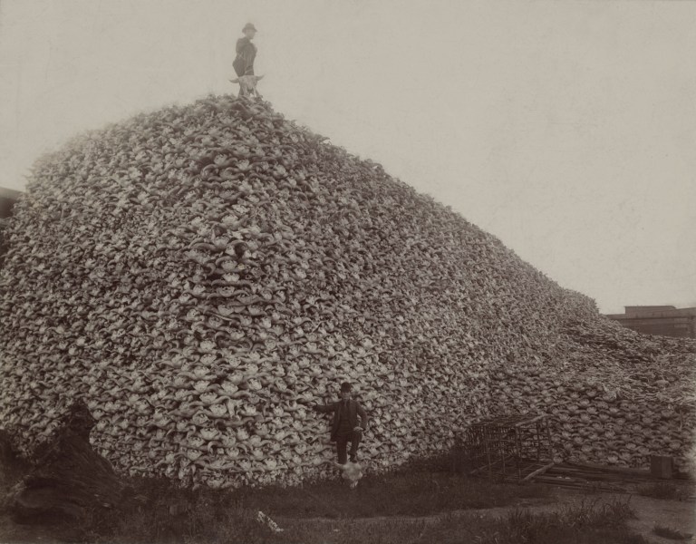 The 1885 North West Rebellion – Welcome to Wood Buffalo Military Museum ...